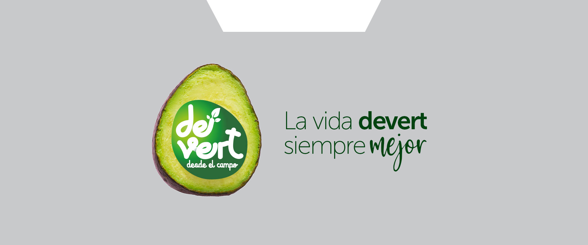 Bienvenidos a Deverd. Distribuidora de Frutas y Verduras - Devert ...
